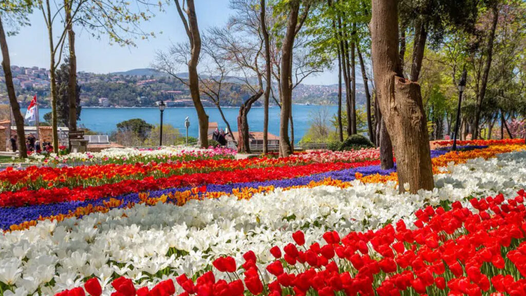 Emirgan Park: A Nature Lover's Guide - Istanbul Guide